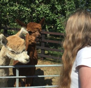 Hope Tree School – A school in South Cambridgeshire for autistic girls ...
