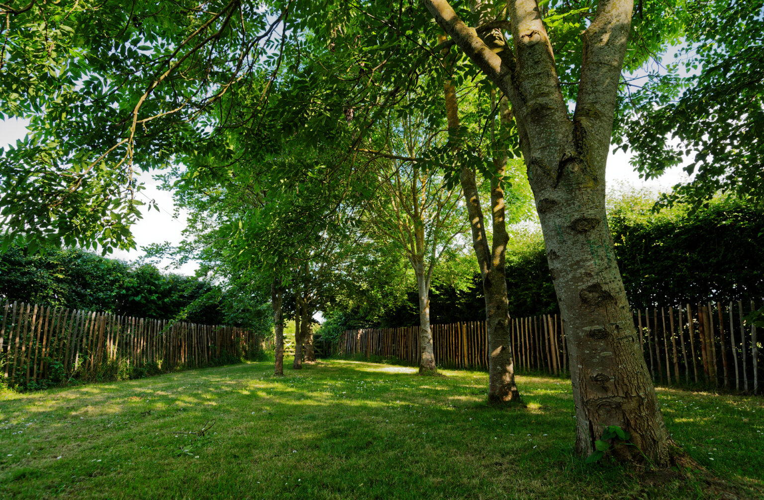 Hope Tree School – A school in South Cambridgeshire for autistic girls ...