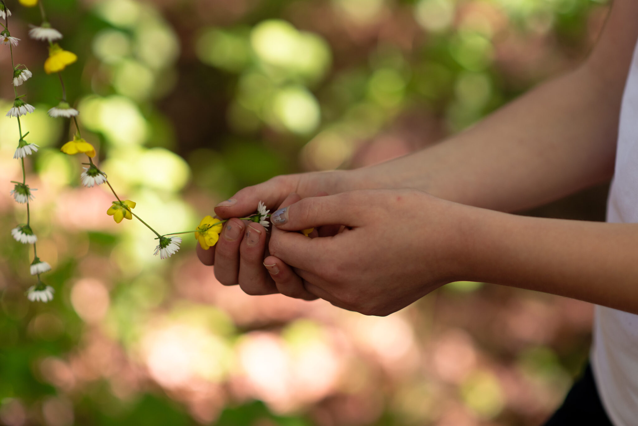 Hope Tree School – A school in South Cambridgeshire for autistic girls ...