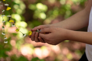 Hope Tree School – A school in South Cambridgeshire for autistic girls ...