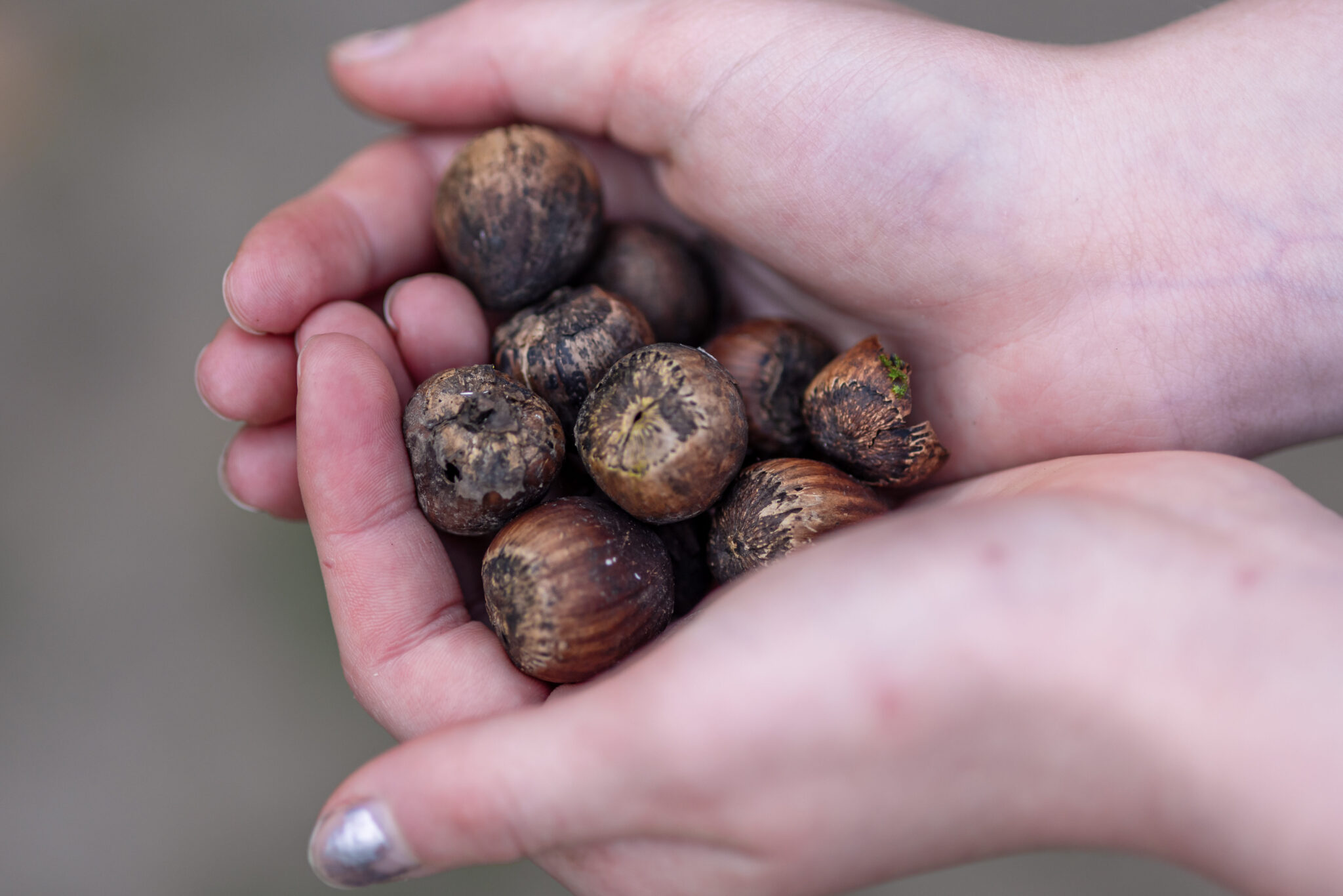 Hope Tree School – A school in South Cambridgeshire for autistic girls ...