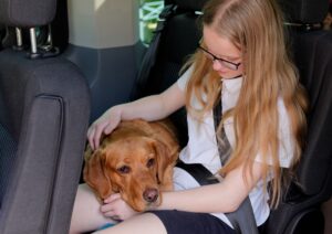 Hope Tree School – A school in South Cambridgeshire for autistic girls ...